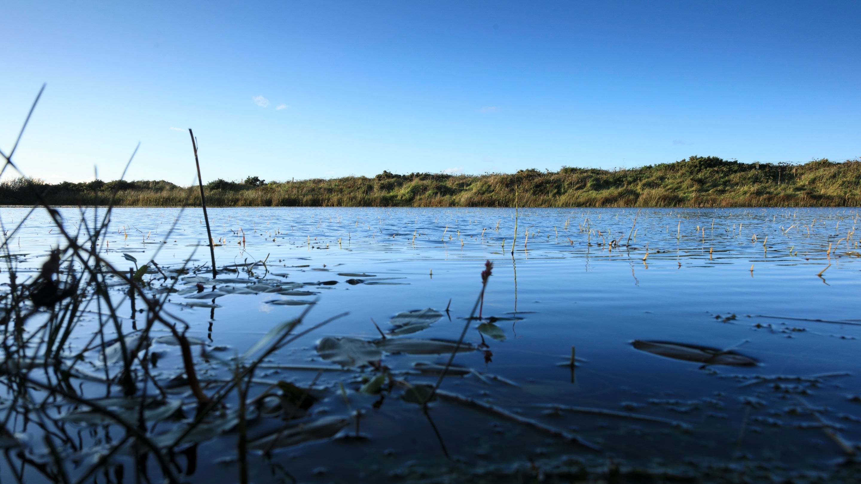 Restoring Marloes Mere | Wales | National Trust