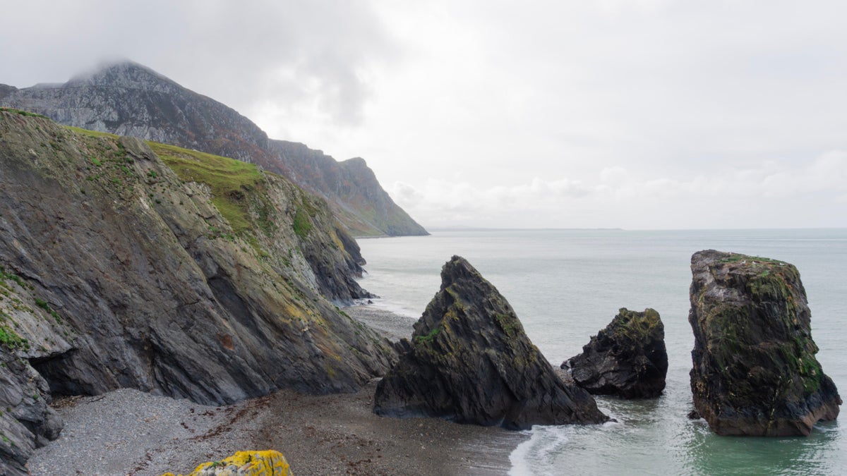 Morfa and Nant Bach | Wales | National Trust