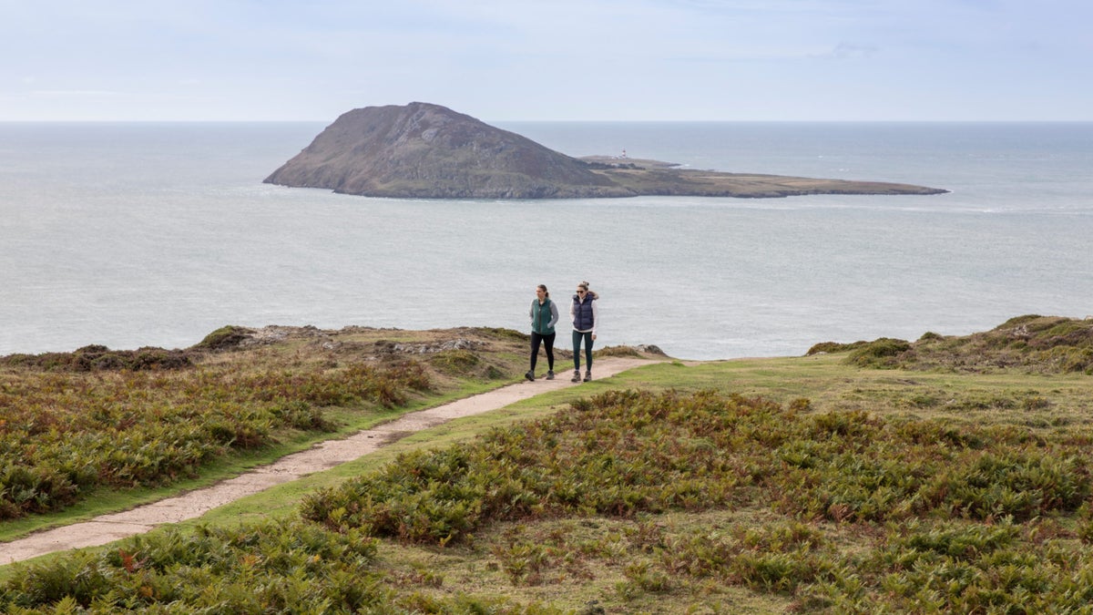 Mynydd Mawr and Braich y Pwll | Wales | National Trust