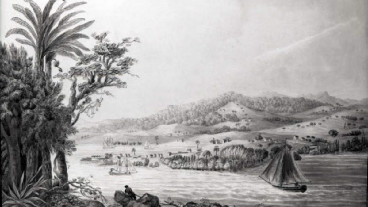 Penrhyn Castle slave trade history|Wales | National Trust