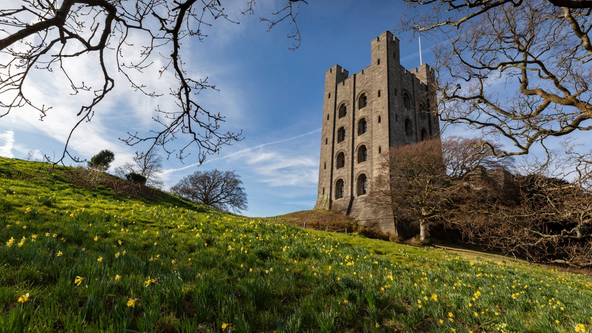 Penrhyn Castle and Garden | Wales | National Trust
