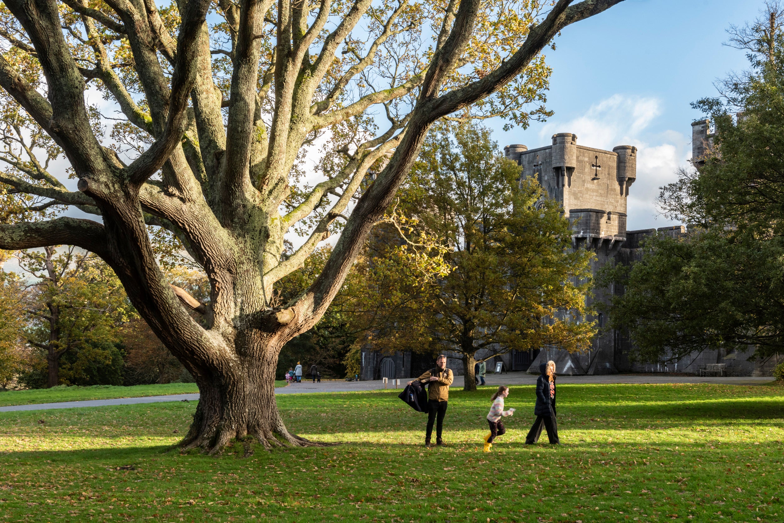 Planning your visit at Penrhyn Castle | National Trust