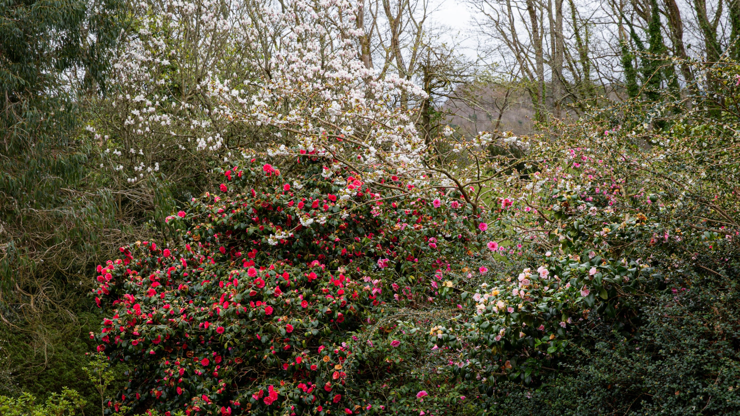 Wales | National Trust