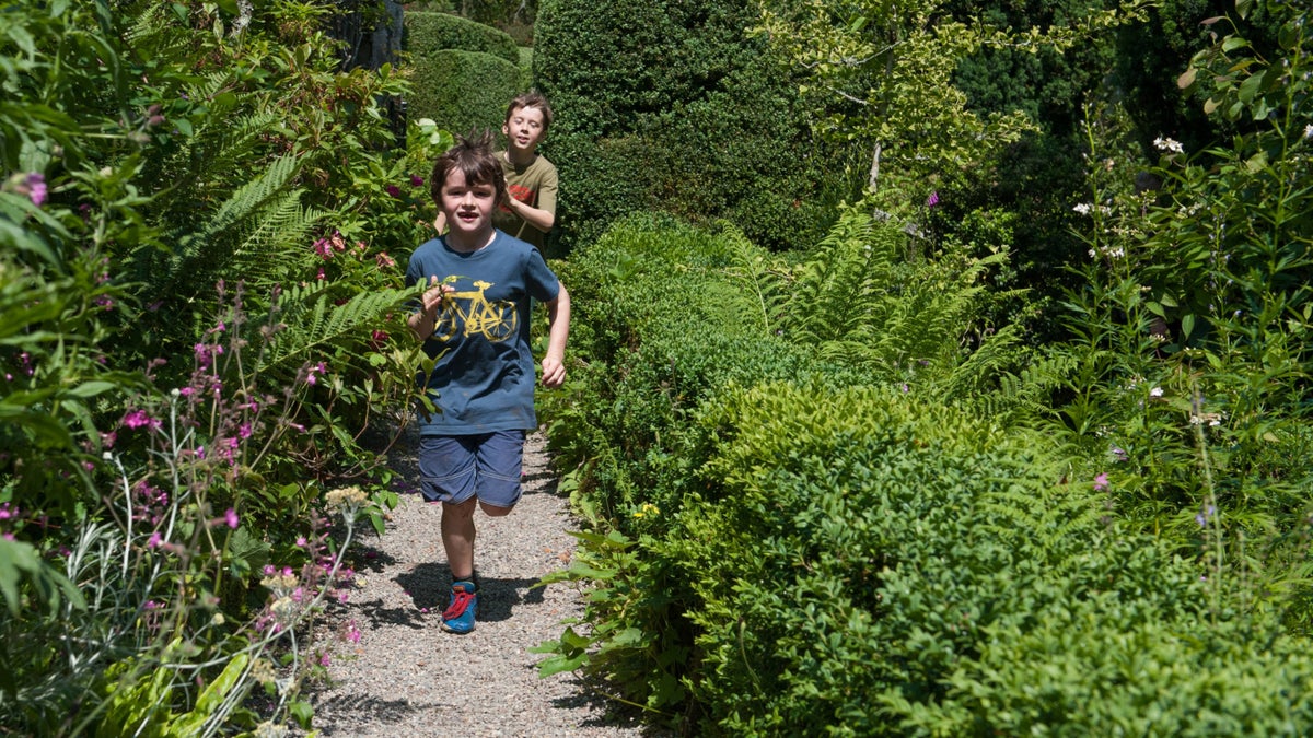 Family days out in Plas yn Rhiw, Gwynedd | National Trust