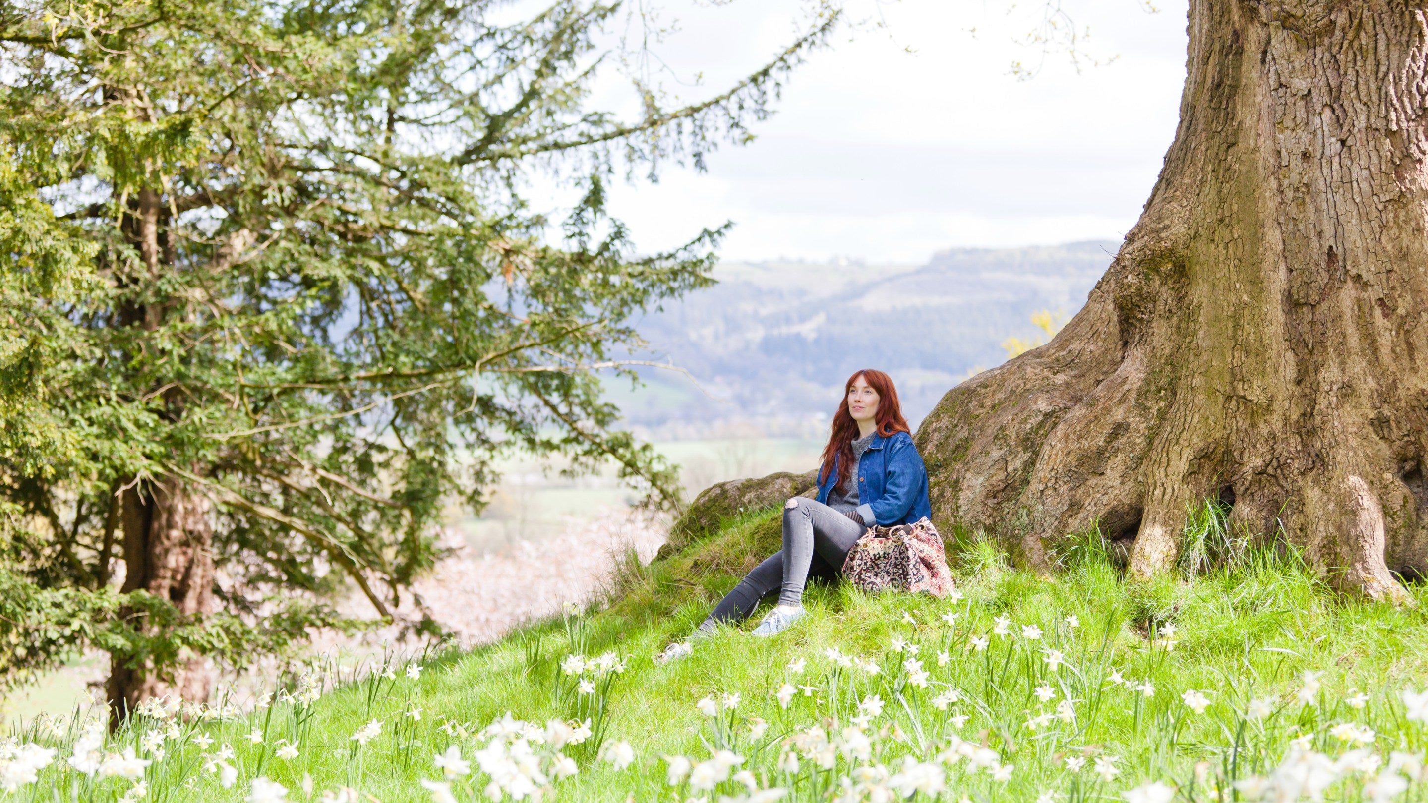 Visiting Powis Castle’s garden | Wales | National Trust