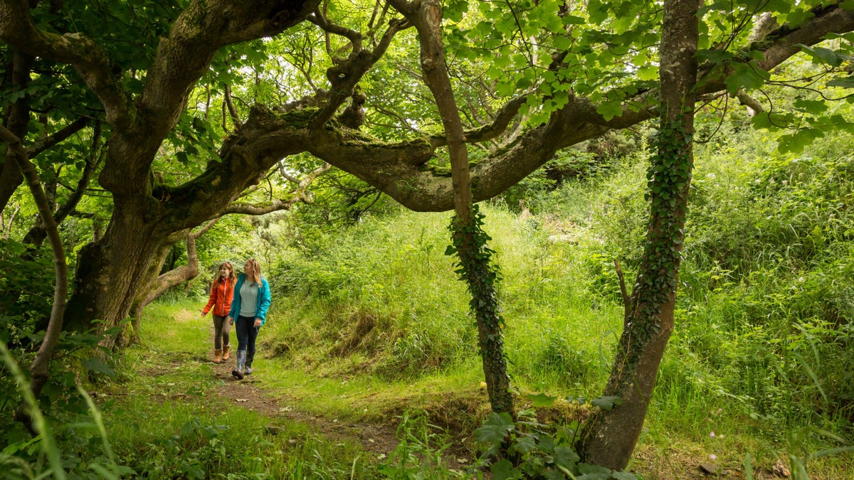 Walking routes | Wales | National Trust