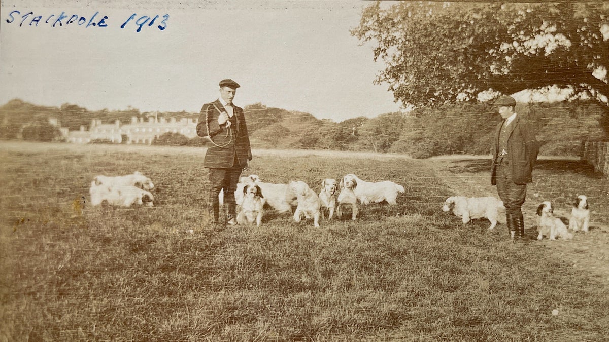 History of Stackpole Estate|Wales | National Trust