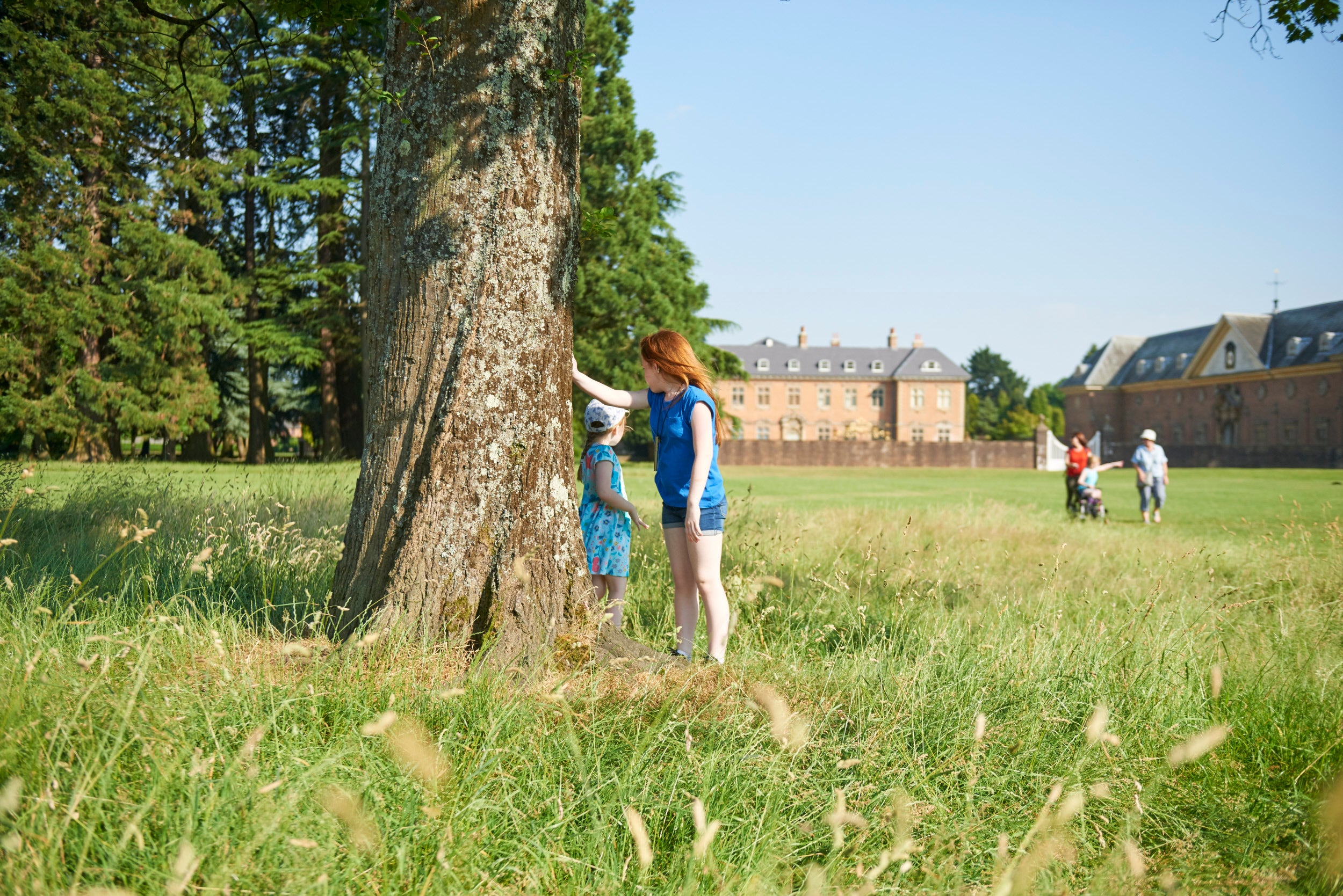 The parkland at Tredegar House | Wales | National Trust