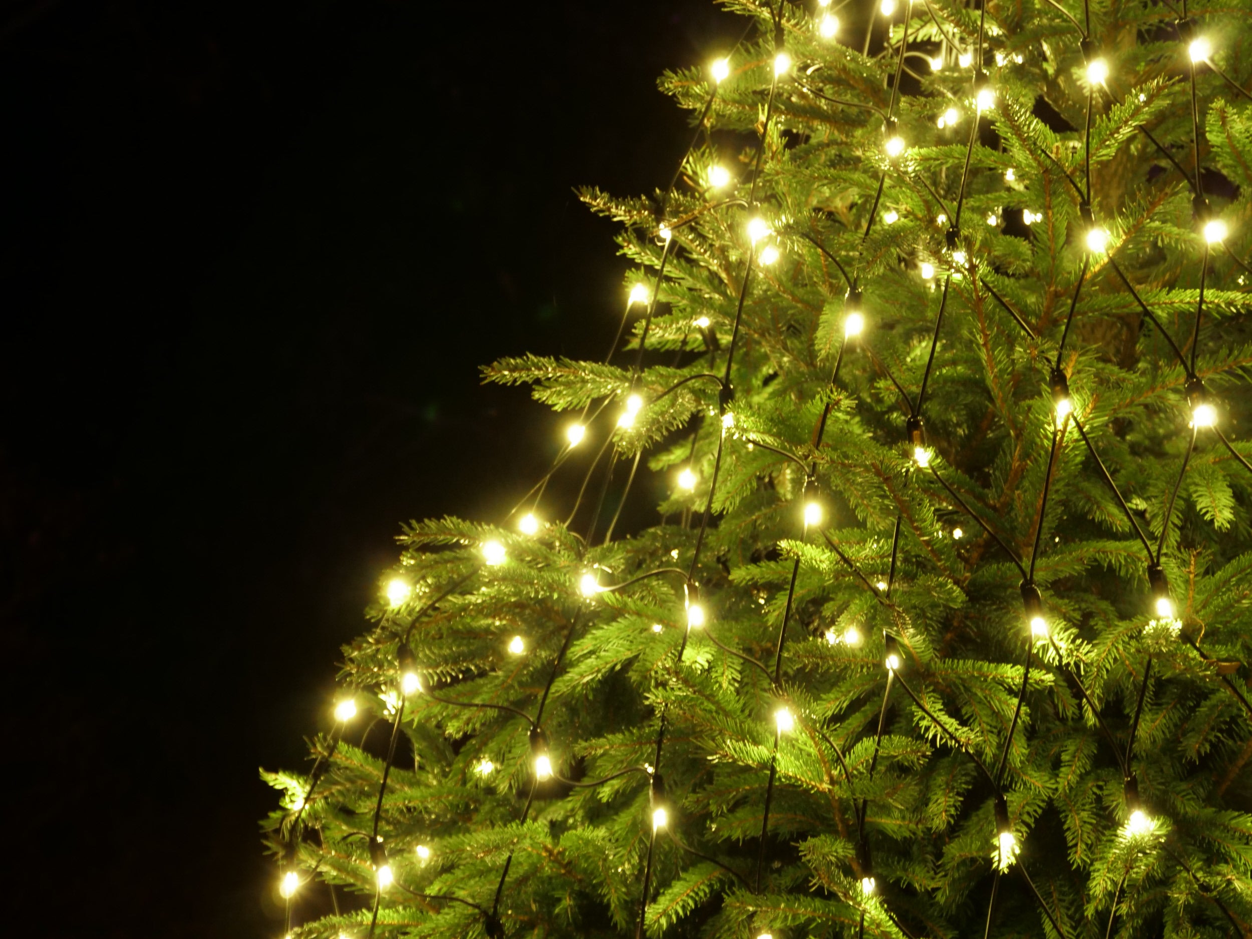 Christmas | Tredegar House | Newport, Wales | National Trust