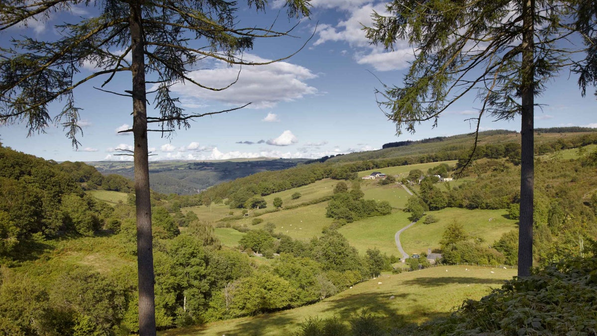 Ty'n y Coed Uchaf and Cwm Eidda walk | National Trust