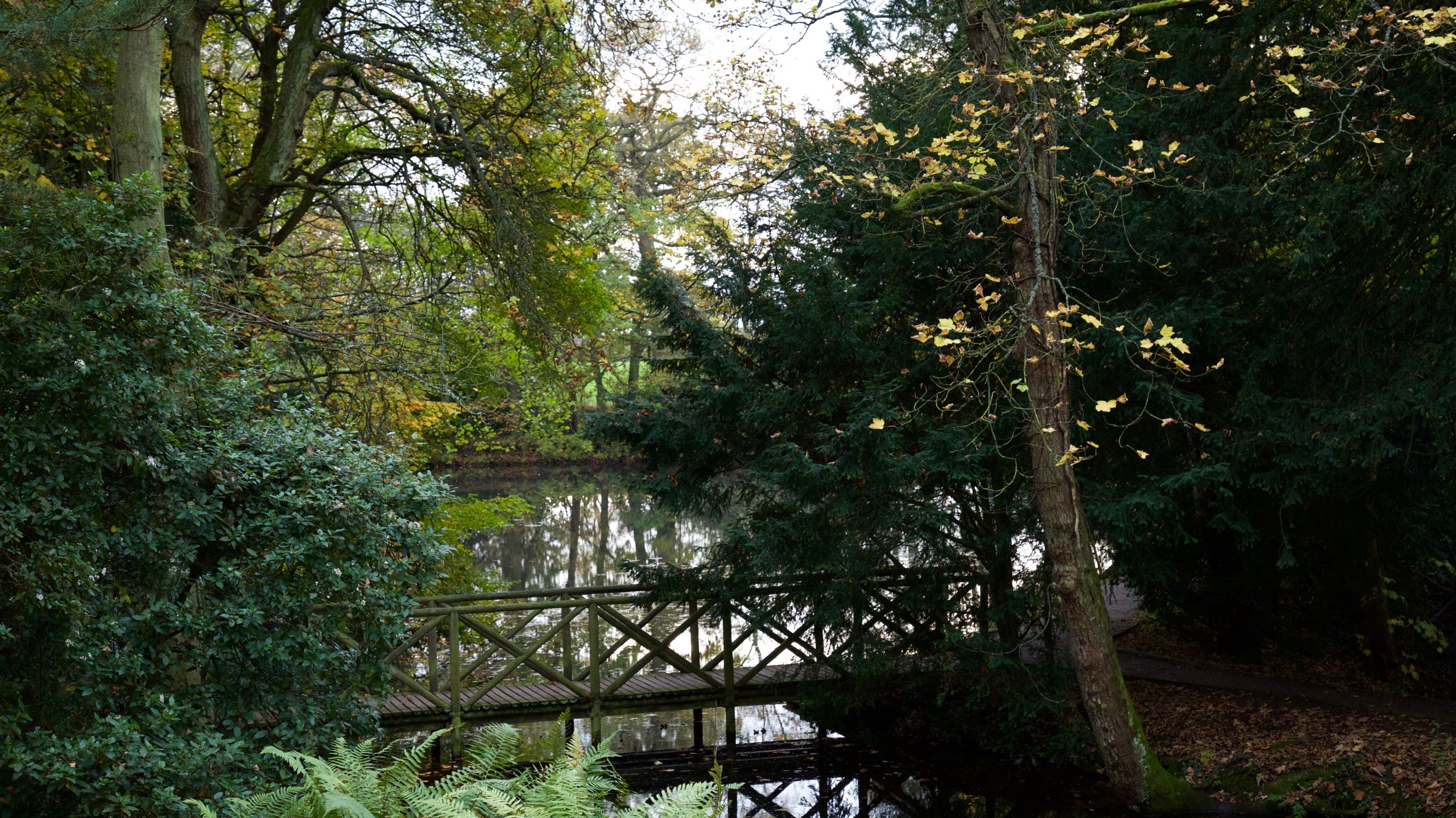 Baddesley Clinton's garden | Warwickshire | National Trust