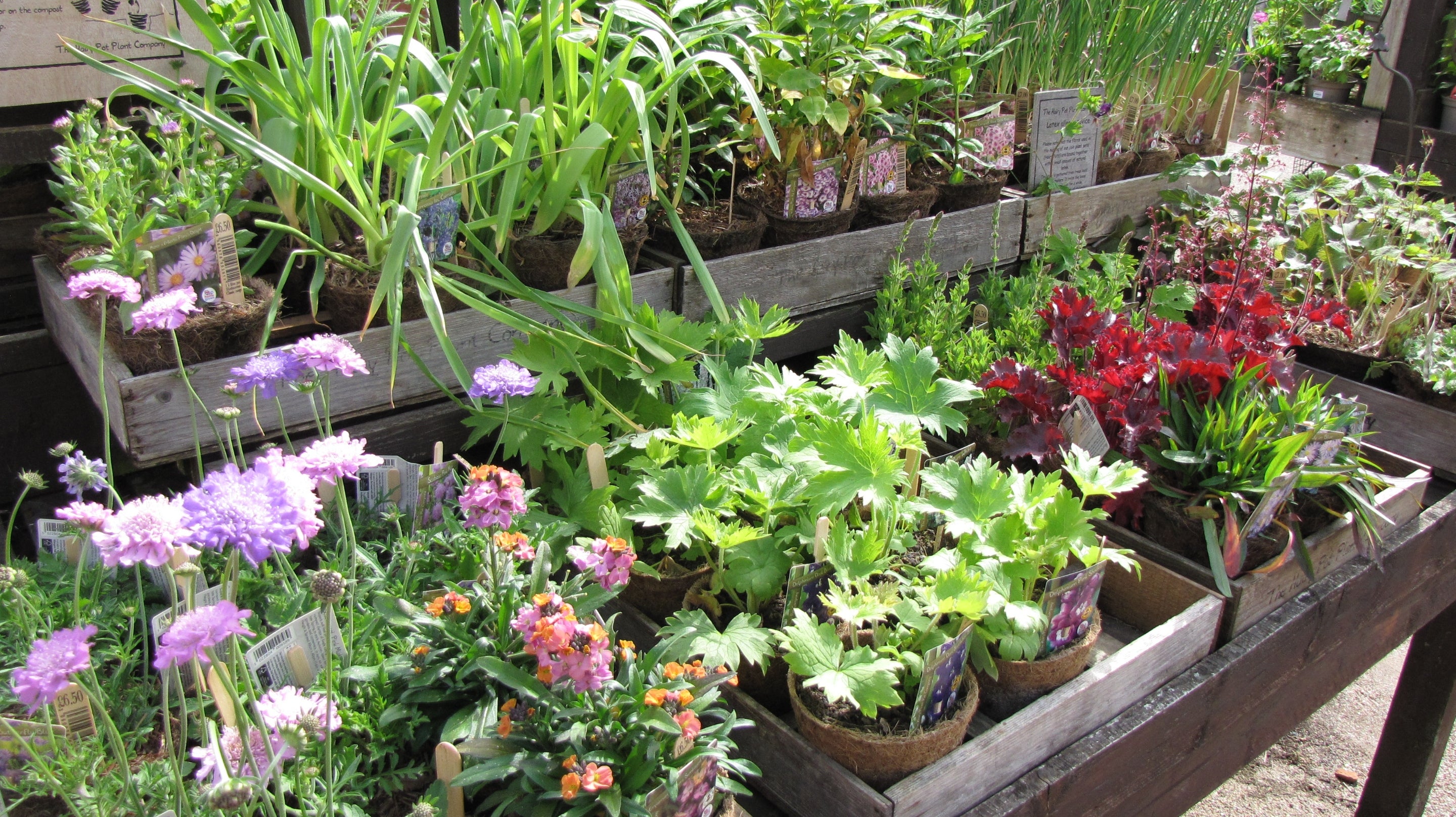 Eating and shopping at Baddesley Clinton | National Trust