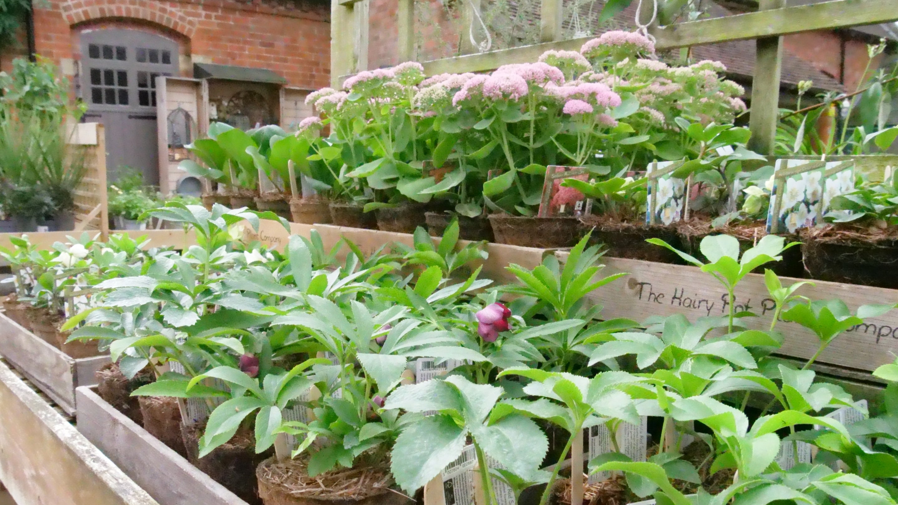 Eating and shopping at Baddesley Clinton | National Trust