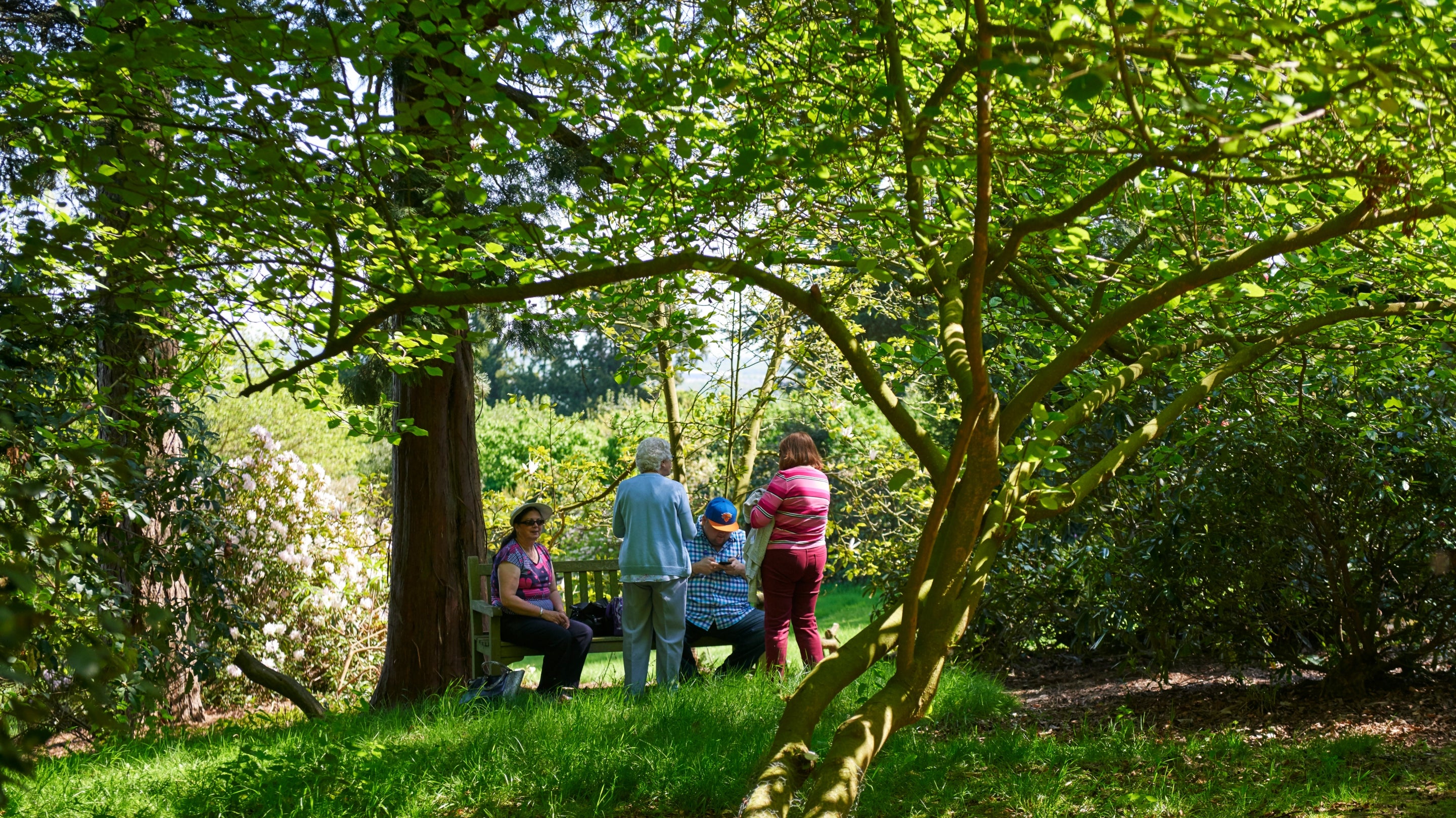 Baddesley Clinton | Warwickshire | National Trust