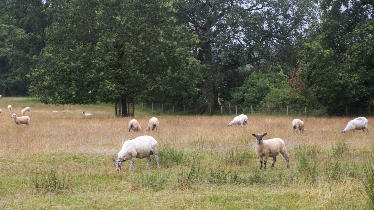 Baddesley Clinton estate walk | National Trust