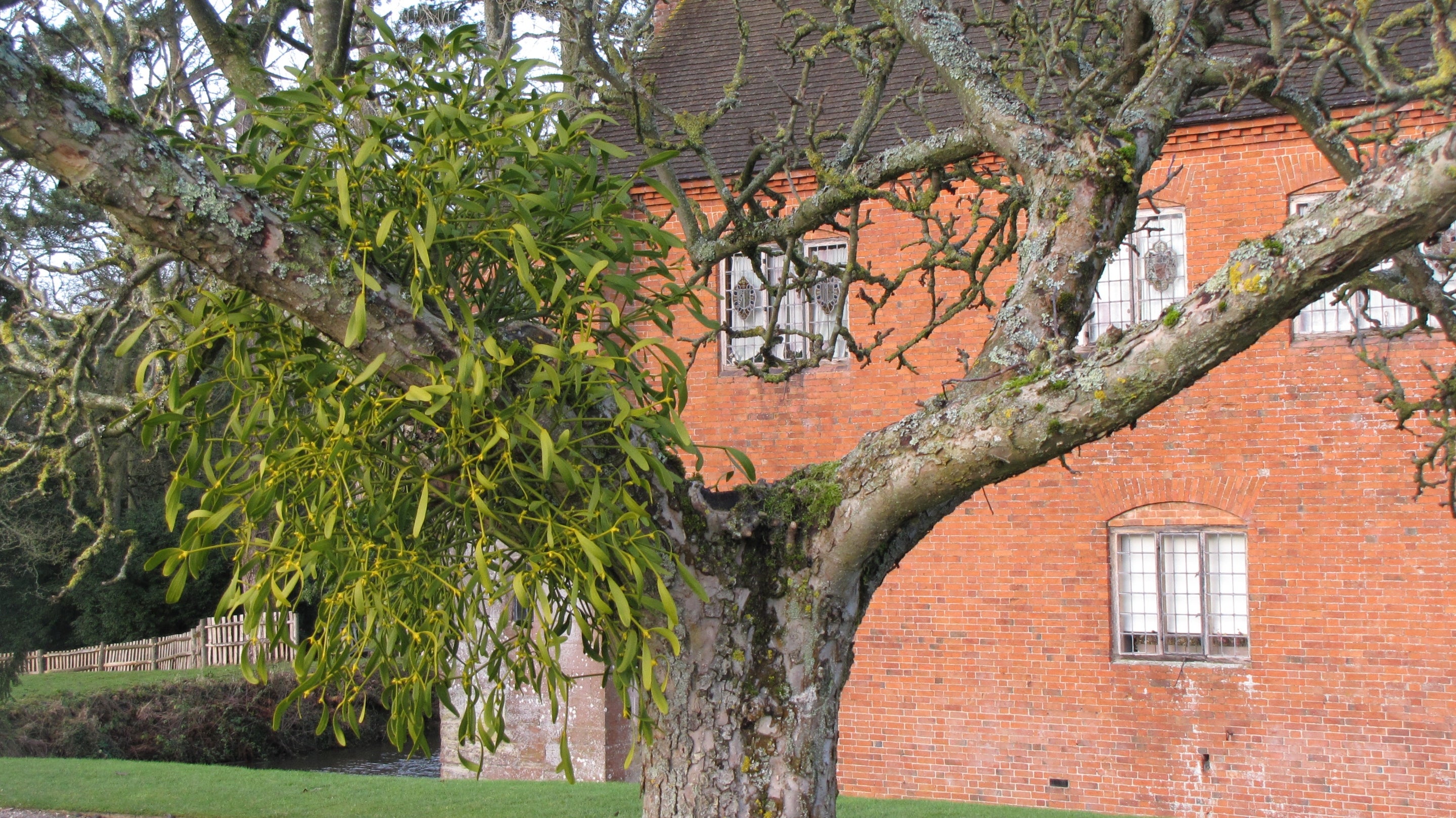 Baddesley Clinton's garden | Warwickshire | National Trust
