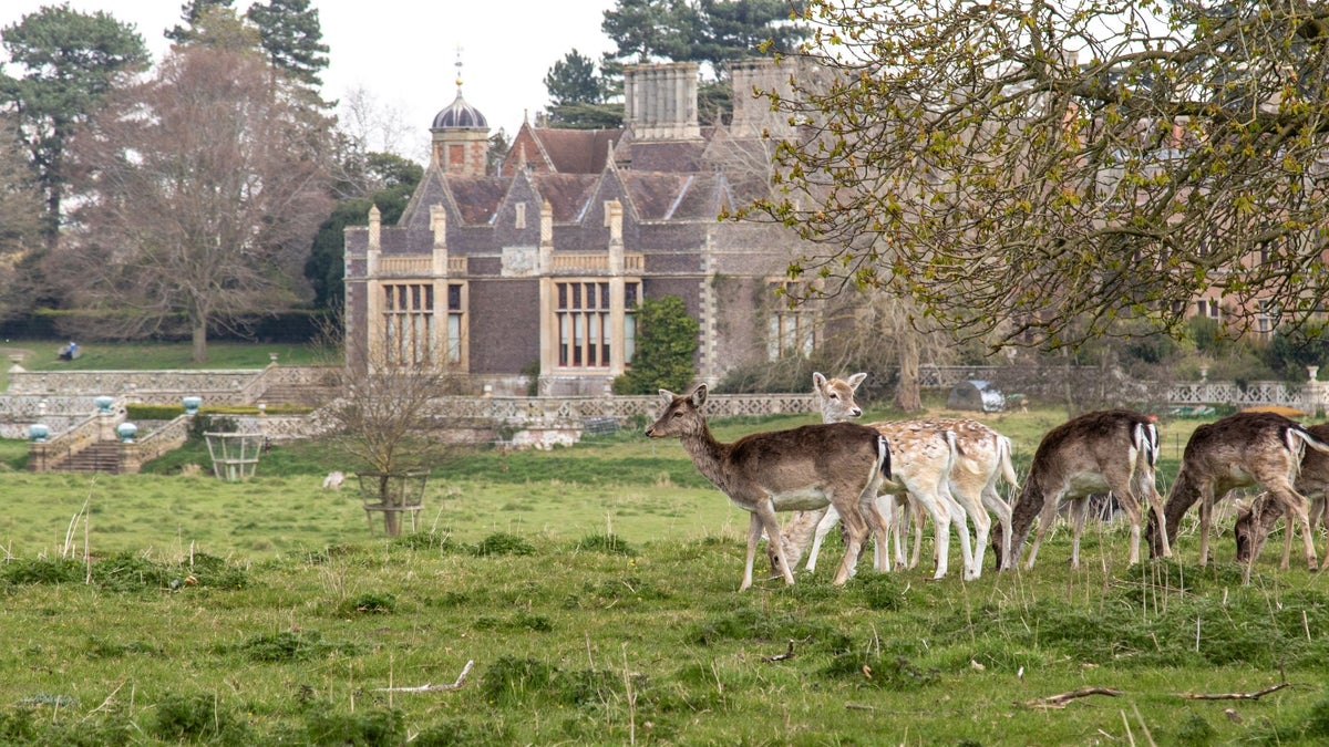 What is a deer park? | Landscapes history | National Trust