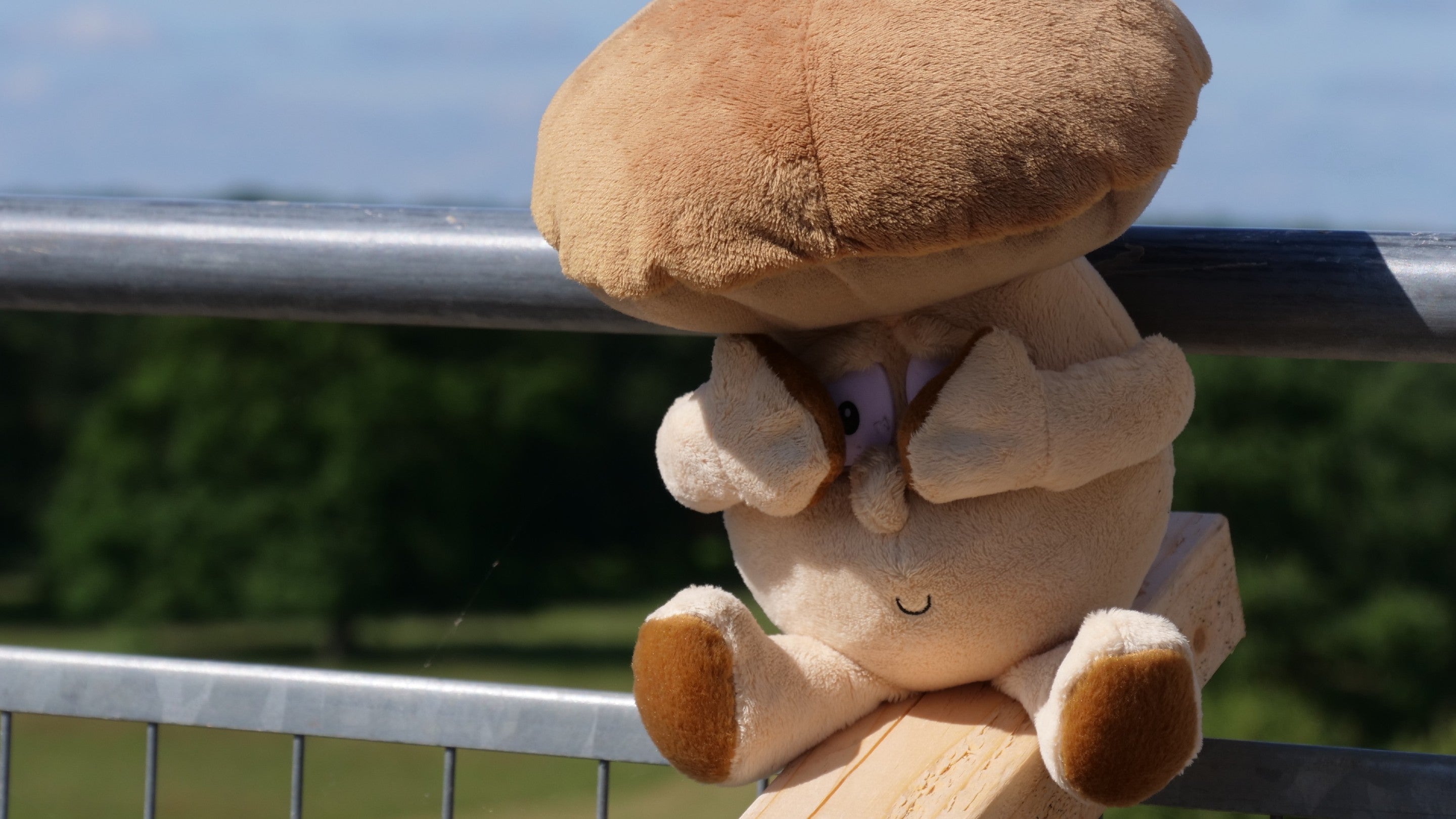 Coughton Court | Warwickshire | National Trust