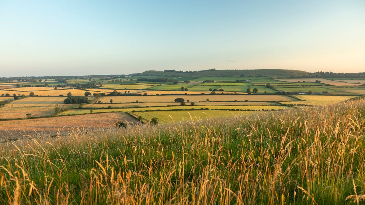 Upton House–Edge Hill walk | Warwickshire | National Trust
