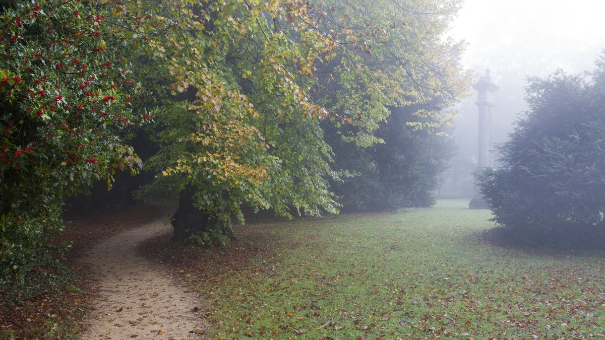 Visiting the garden at Lacock | Wiltshire | National Trust
