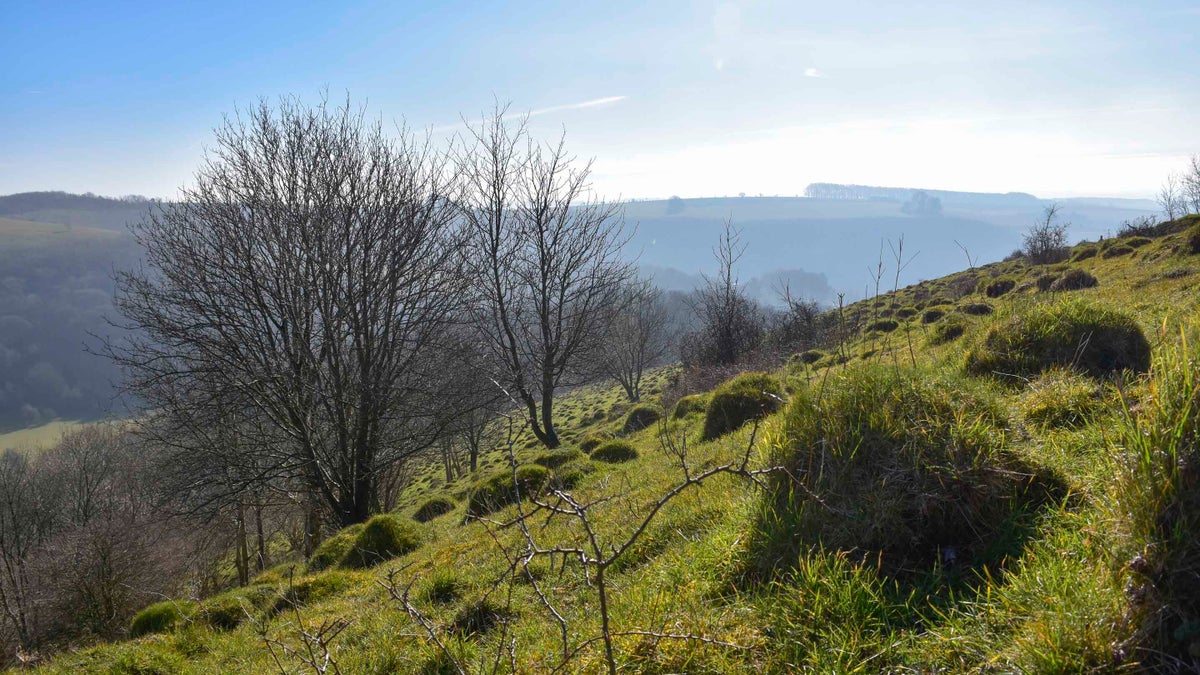 Visiting Win Green's estate | Wiltshire | National Trust