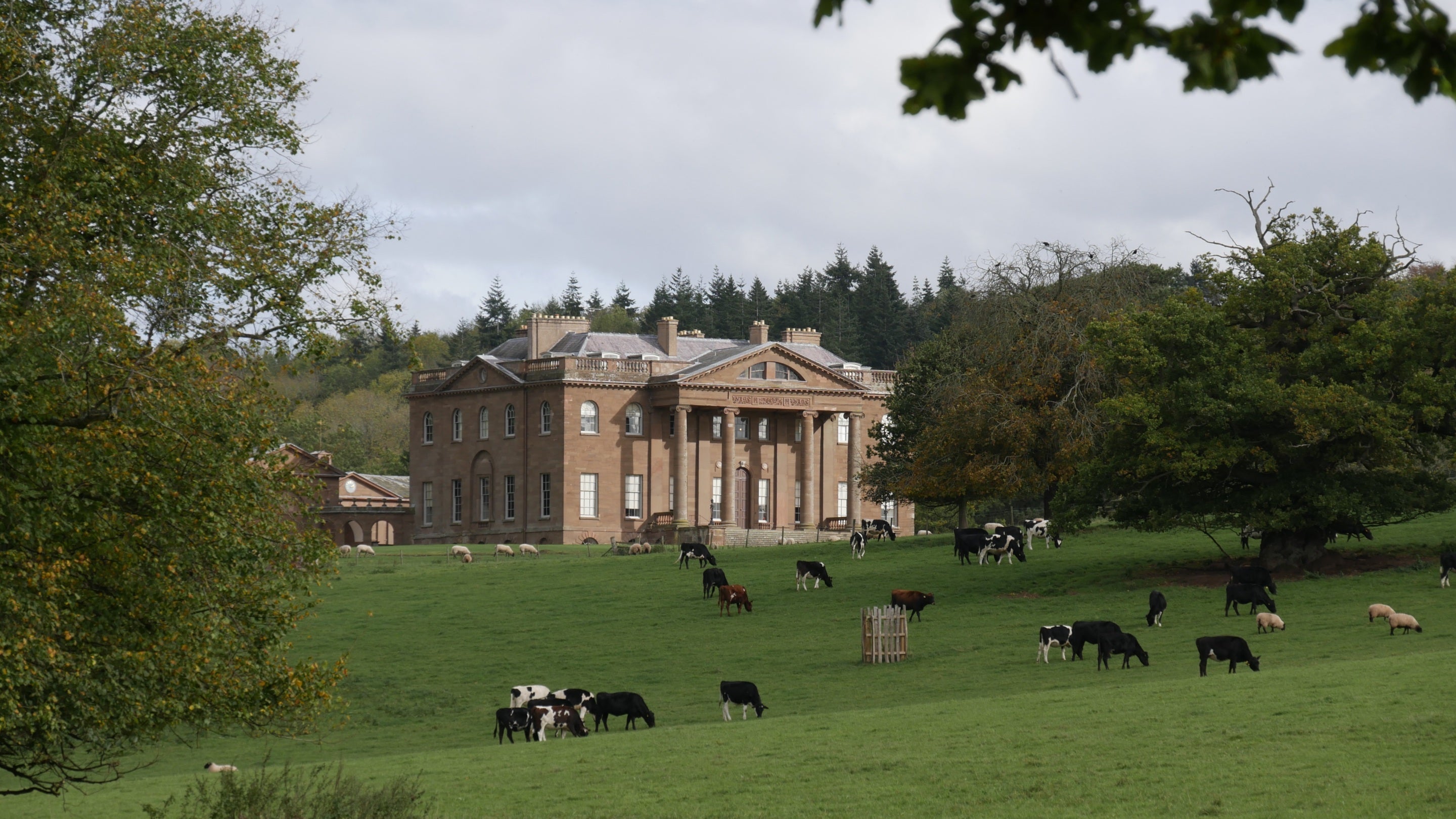 Berrington Hall's parkland | Herefordshire | National Trust