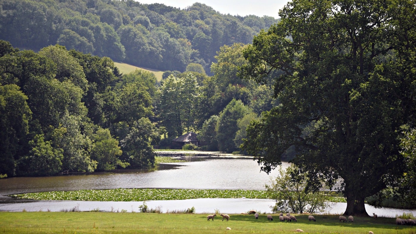 Berrington Hall's parkland | Herefordshire | National Trust