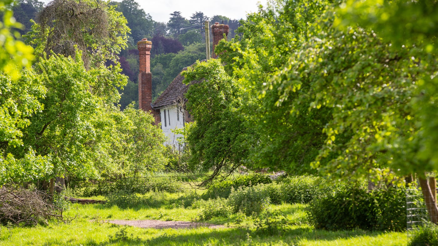 Visit Brockhampton's estate | Herefordshire | National Trust