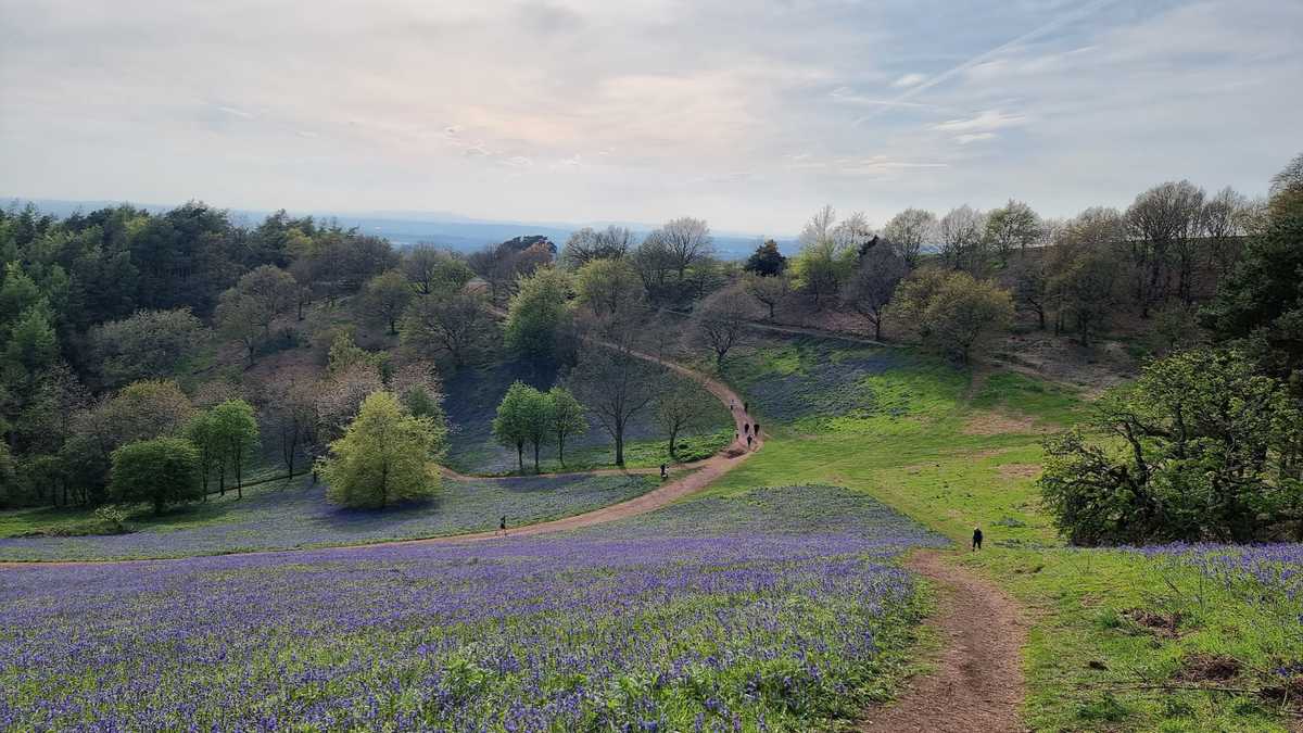 Clent Hills | Worcestershire | National Trust