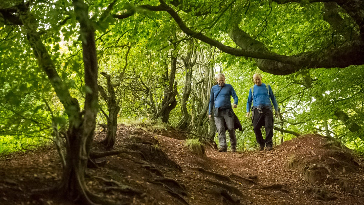 Marley Common | Sussex | National Trust