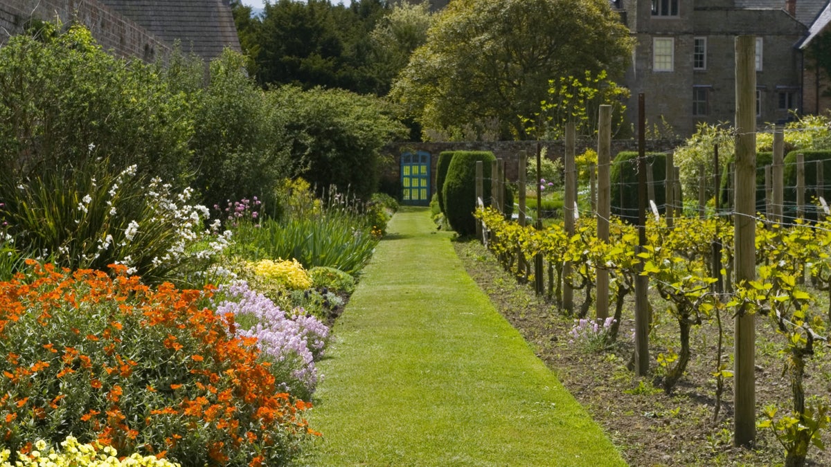 The garden at Croft Castle │ Herefordshire | National Trust