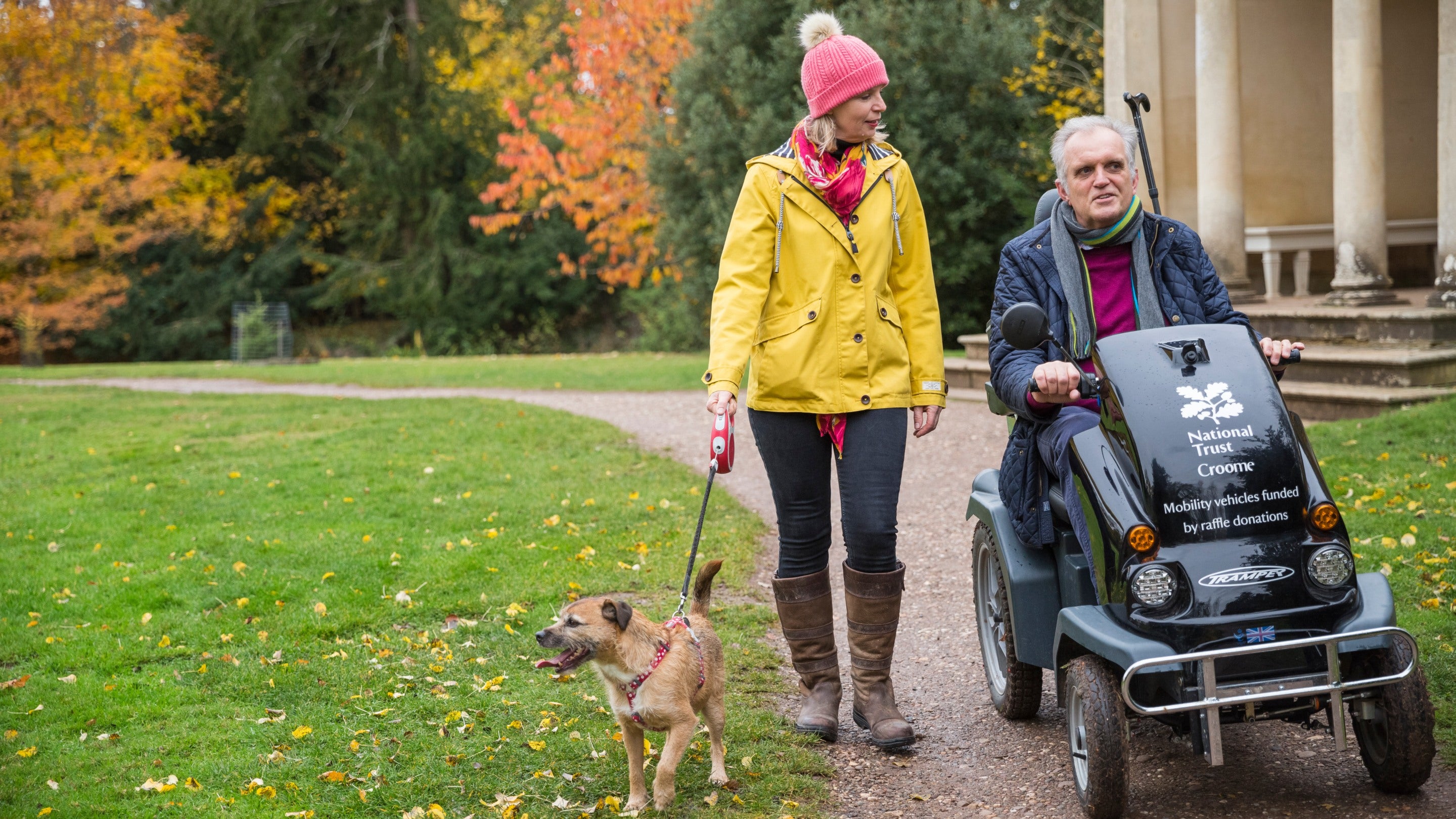 Dog walking at Croome | Worcestershire | National Trust