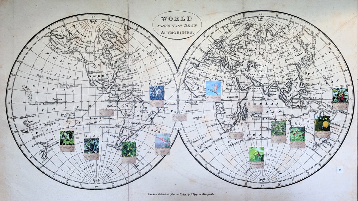 Visiting Croome | Worcestershire | National Trust