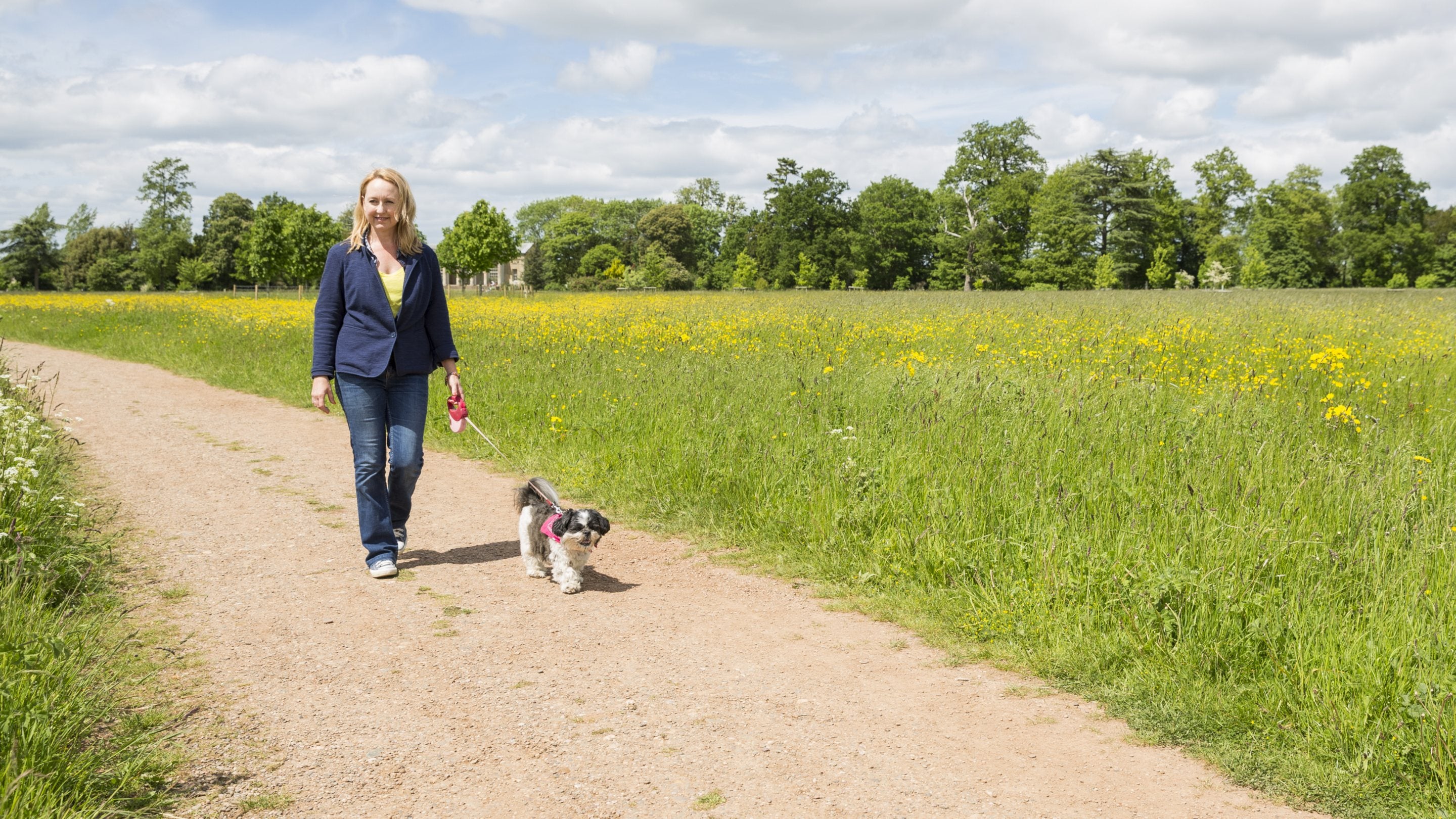 Dog walking at Croome | Worcestershire | National Trust