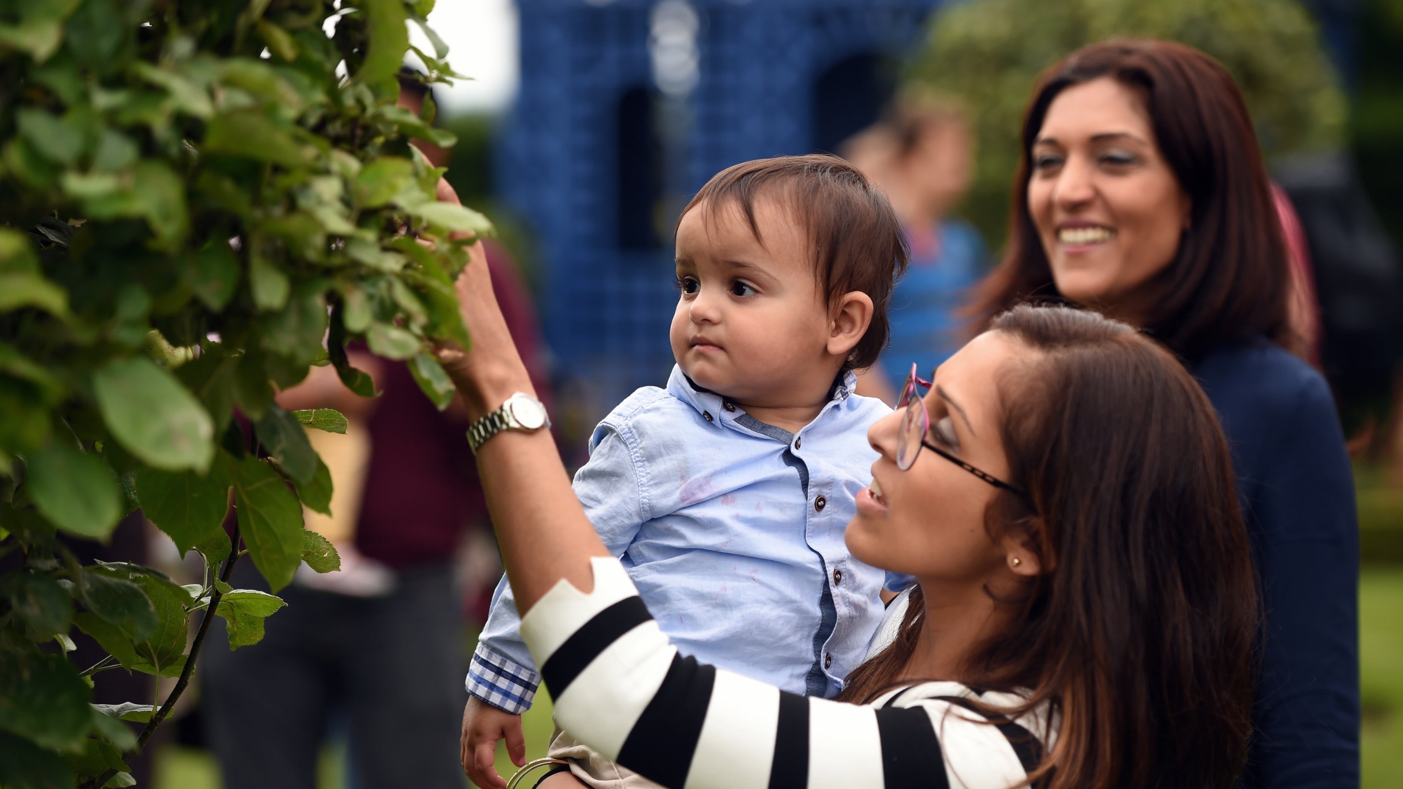 Family days out at Croome | Worcs | National Trust
