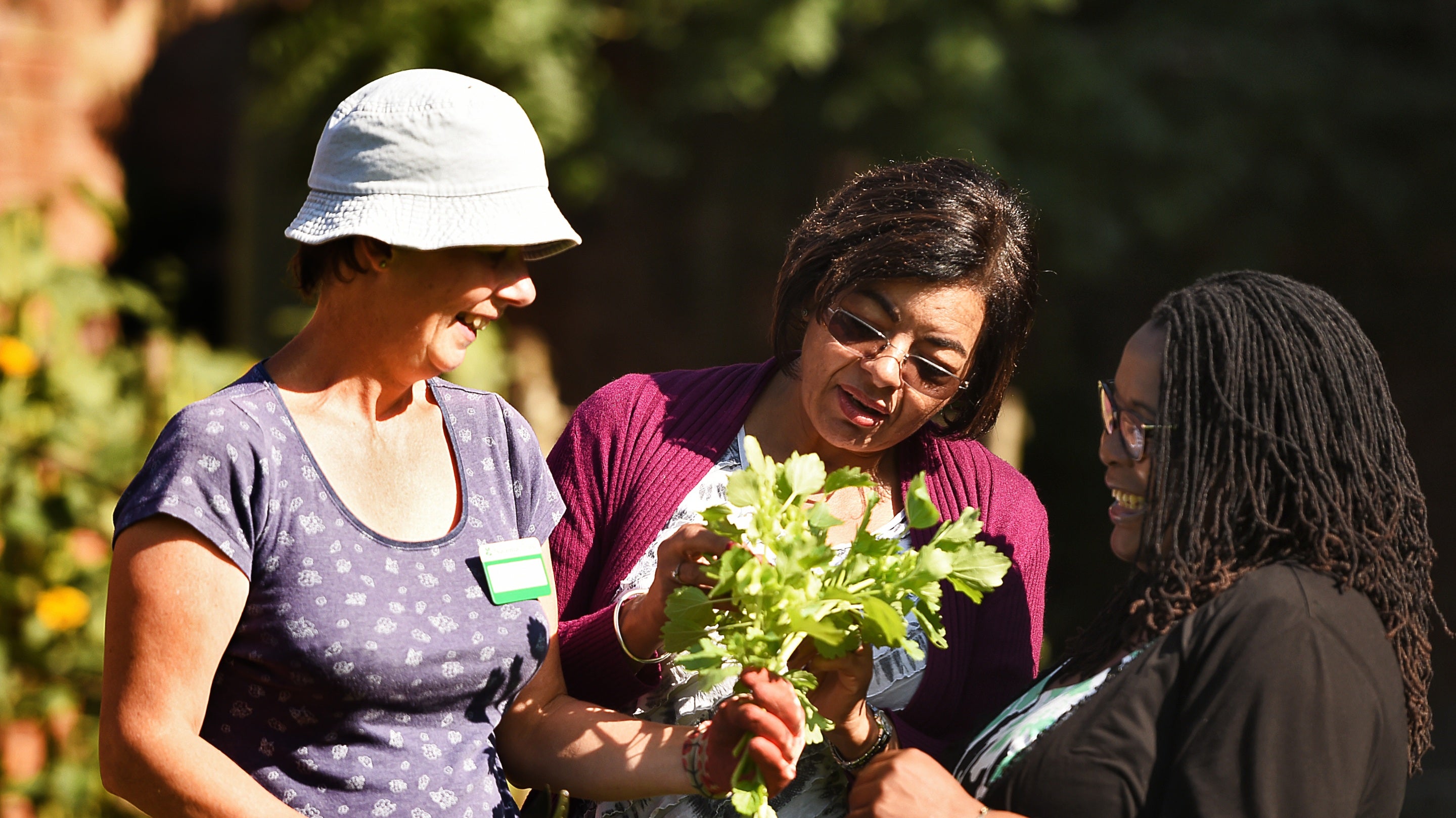 Volunteering in Worcestershire and Hereford | National Trust