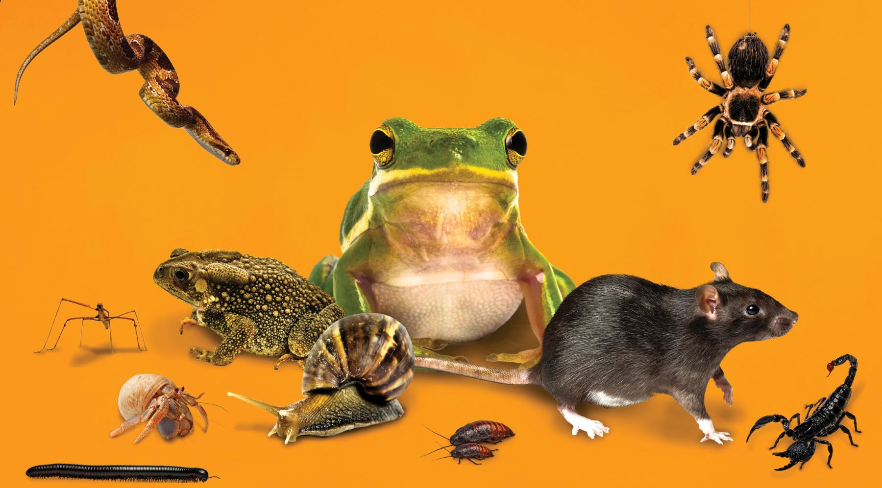 Hanbury Hall | Worcestershire | National Trust