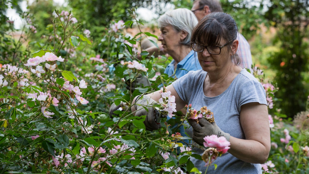Volunteer at The Firs | Worcestershire | National Trust