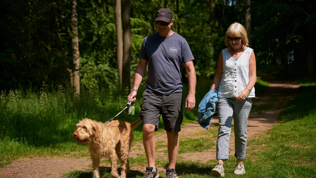 Beningbrough Larch walk | Yorkshire | National Trust