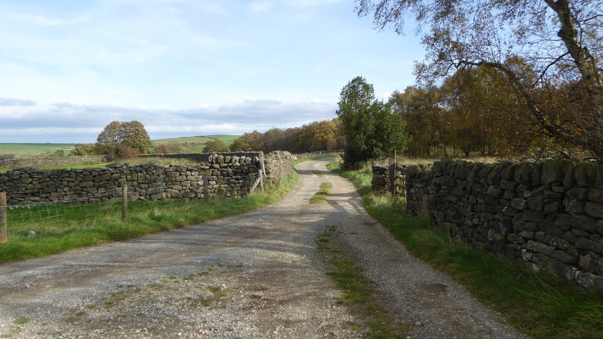 Fields and Fell Beck trail | Brimham Rocks | National Trust
