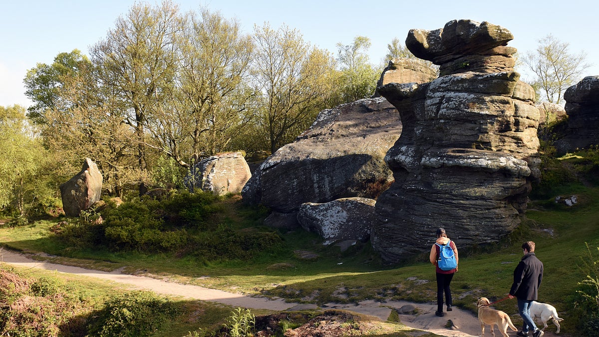 Brimham Rocks | Yorkshire | National Trust