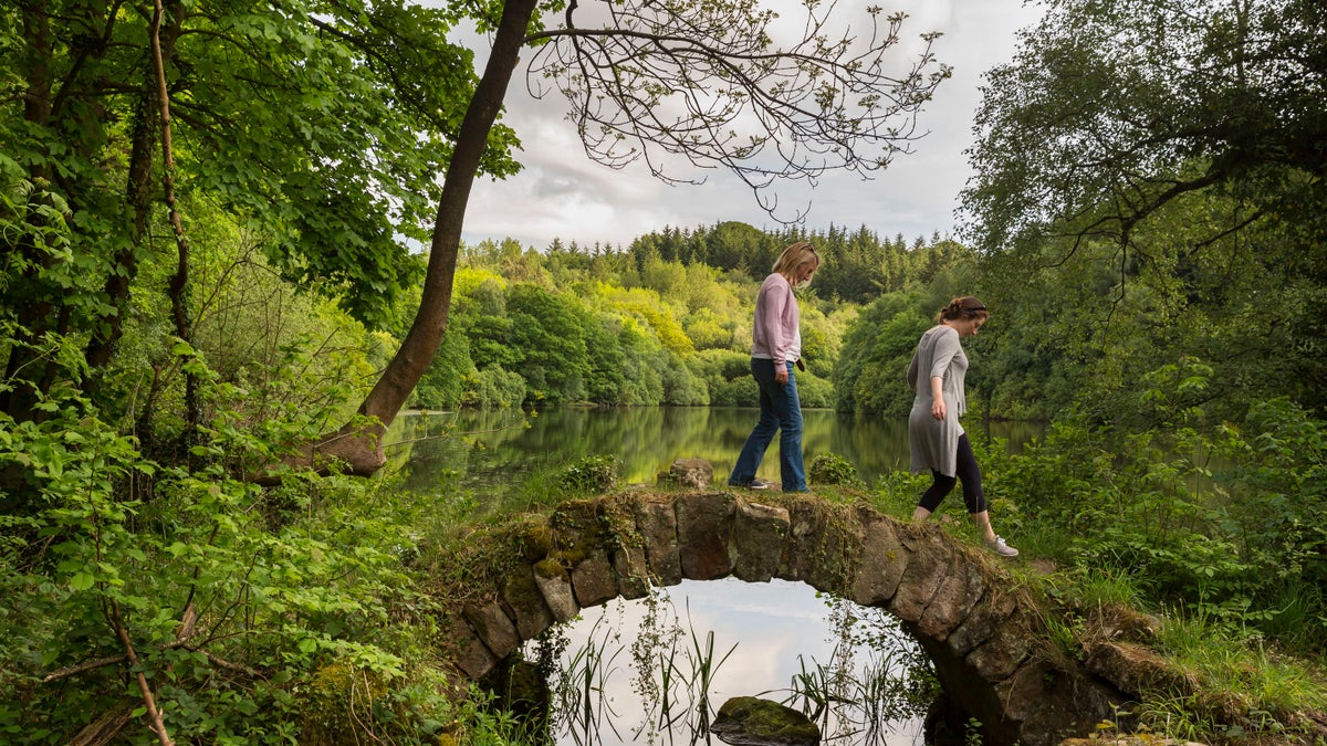 Skell Valley Explorer | Yorkshire | National Trust