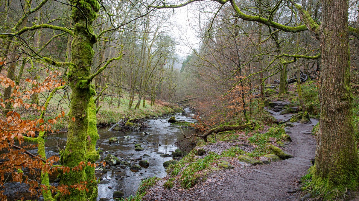 Mill walk (riverside) | West Yorkshire | National Trust