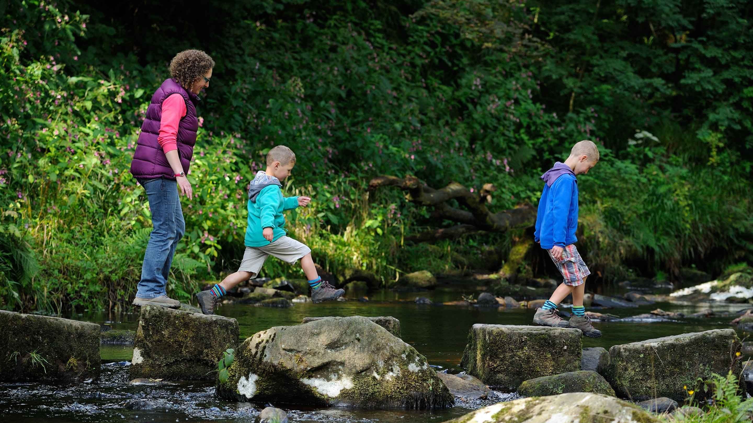 Discover Hardcastle Crags | W Yorkshire | National Trust