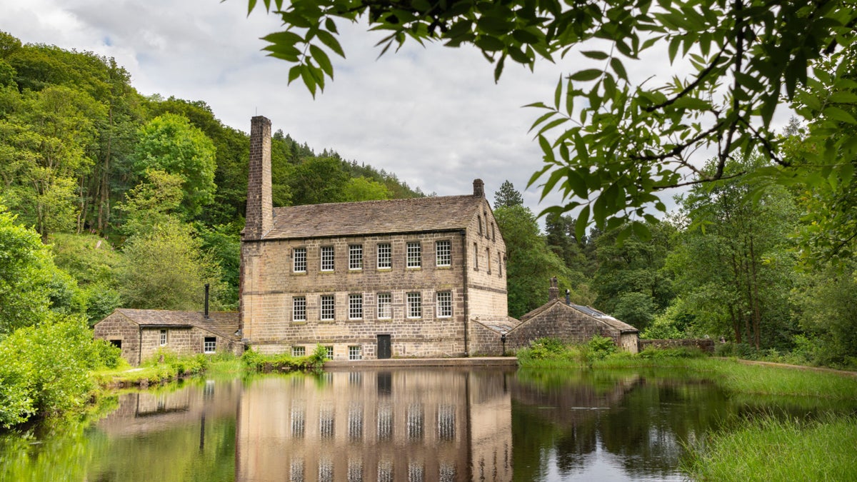 Mill walk (upper woodland) | West Yorkshire | National Trust