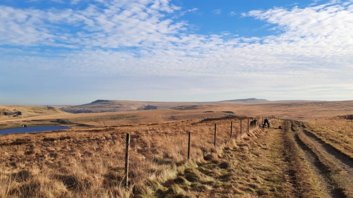 Eyes on the Bog at Marsden Moor | Yorkshire | National Trust