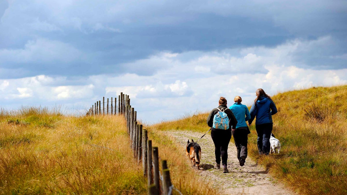 Outdoor activities to do in Yorkshire | National Trust