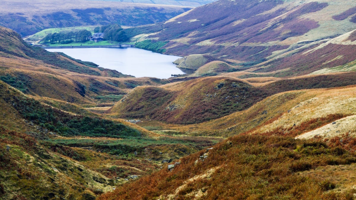 Our work on Marsden Moor │ West Yorkshire | National Trust