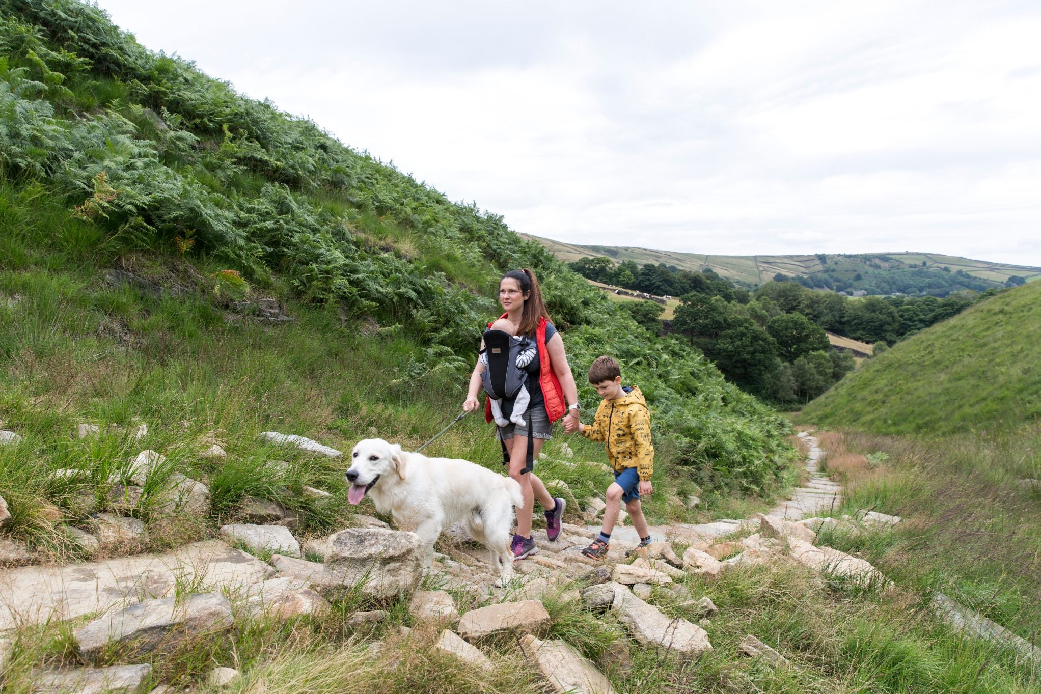 Marsden Moor | West Yorkshire | National Trust