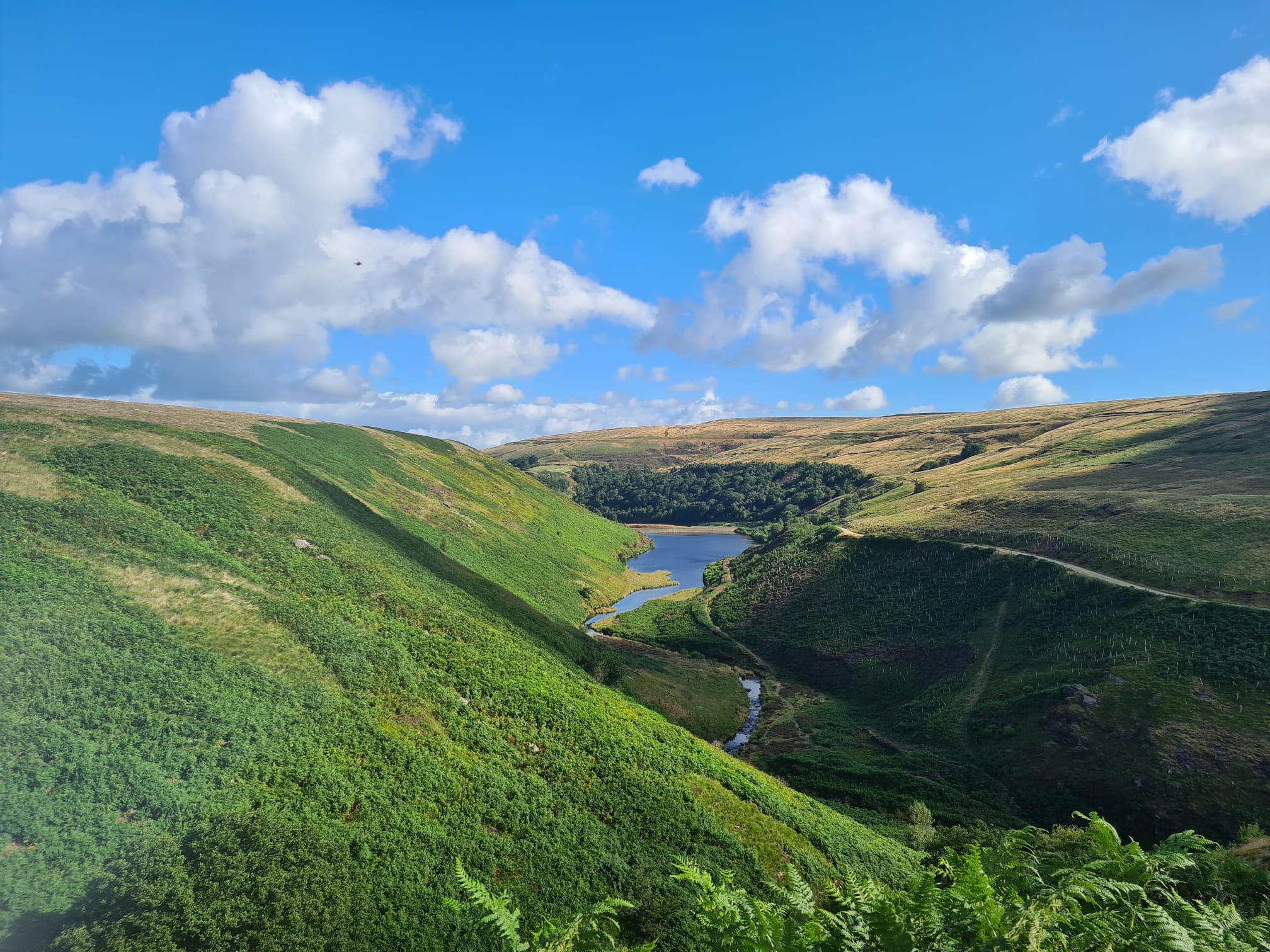 Marsden Moor | West Yorkshire | National Trust